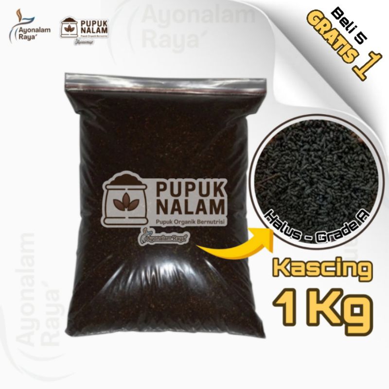 Jual Pupuk Kascing Organik Vermicompost Murni 1Kg (Grade A) - Media ...