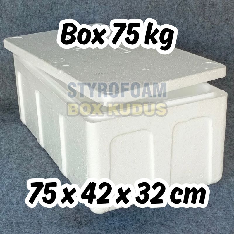 Jual (SEDANG-BESAR KHUSUS GOSEND) Styrofoam Box Baru Box Penyimpanan Styrofoam Box Ikan Wadah ...