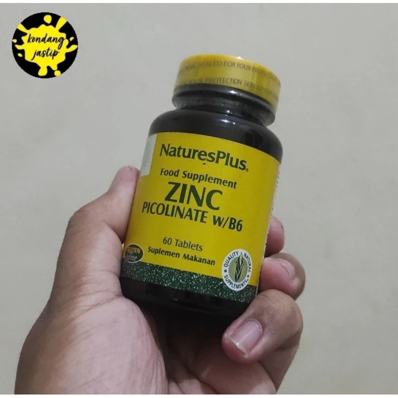 Jual natures plus zinc picolonate with vitamin b6 isi 60 tablet ...