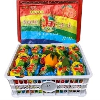 Jual JERUK SUMO JERUK SULTAN CAP JEMPOL GROSIR 1krj | Shopee Indonesia