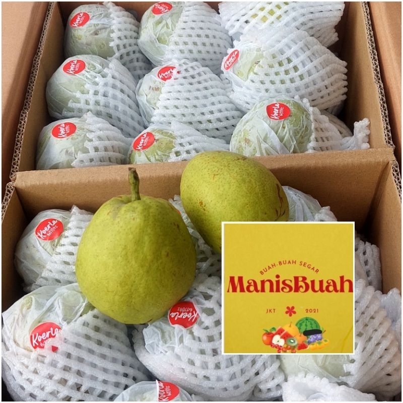 Jual pear xiang lie jumbo per dus | Shopee Indonesia
