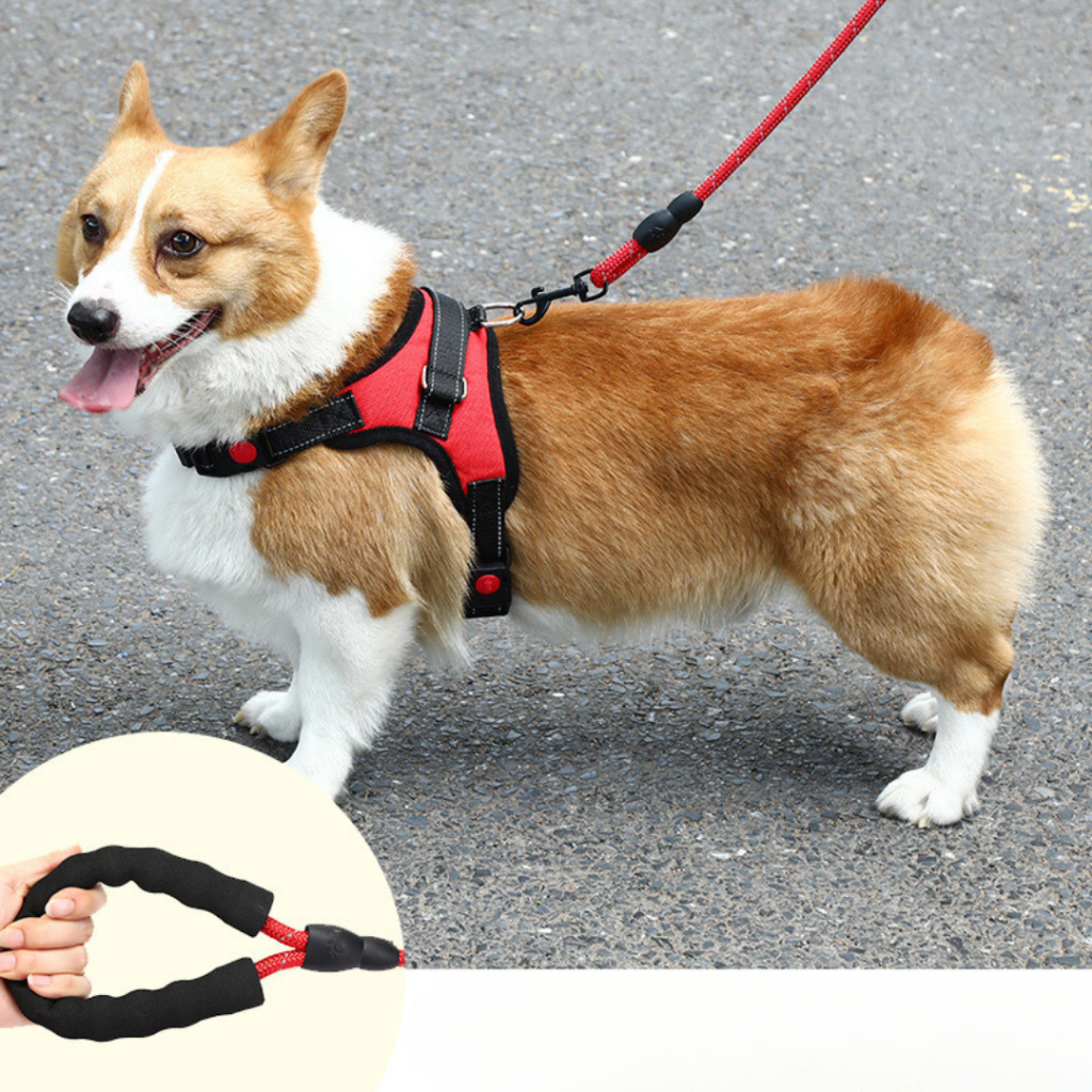 Jual Harness Anjing Tali Tuntun - Rompi Anjing Besar Medium Breathable ...