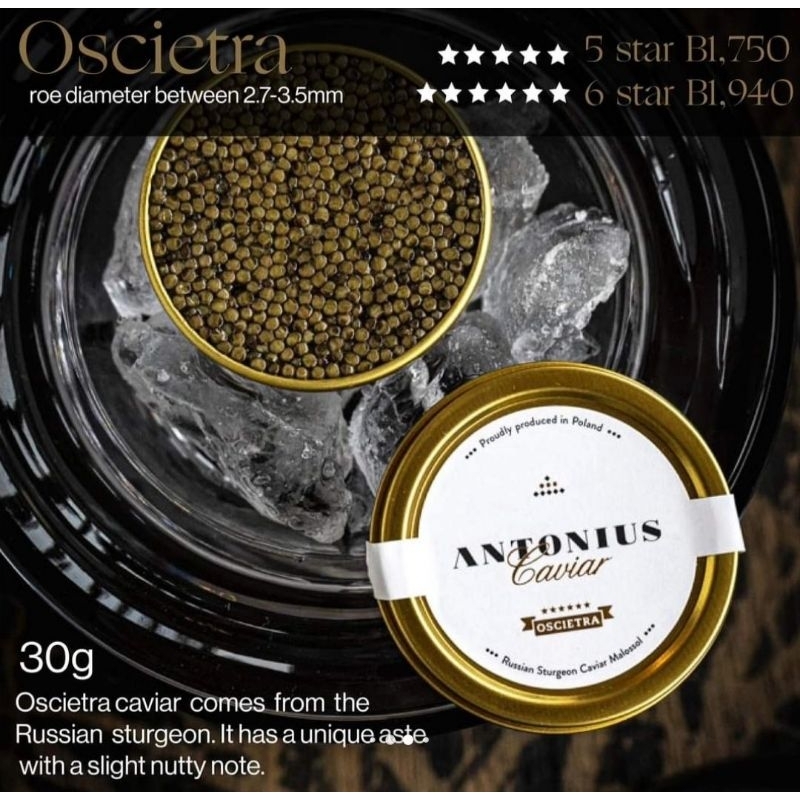 Jual Caviar/Telur Ikan Oscietra Sturgeon - Antonius | Shopee Indonesia