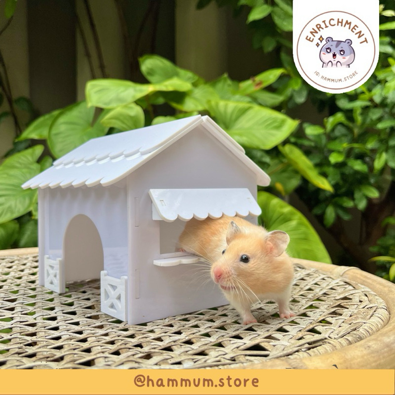 Jual Rumah Akrilik Hamster Syrian A51 | Hideout Terowongan Hamster ...