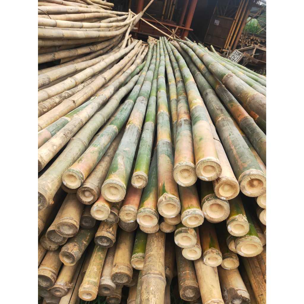 Jual Bambu Steger / Bangunan / Usuk / Proyek Murah Berkualitas | Shopee ...