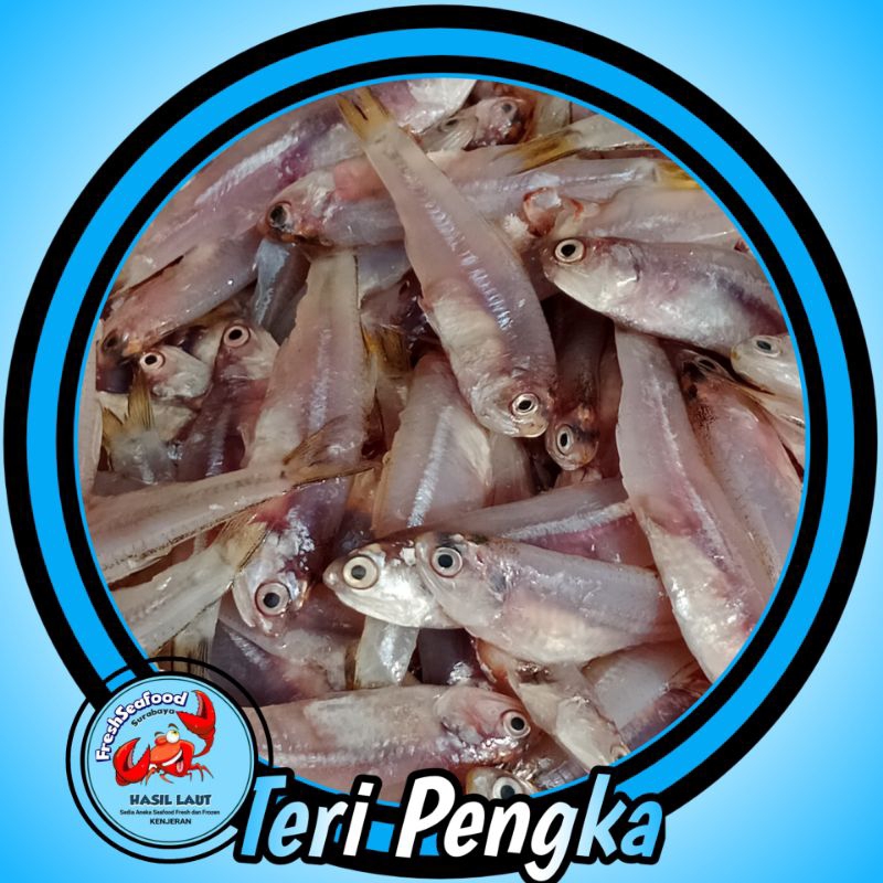 Jual IKAN TERI PENGKA 1 kg | Shopee Indonesia