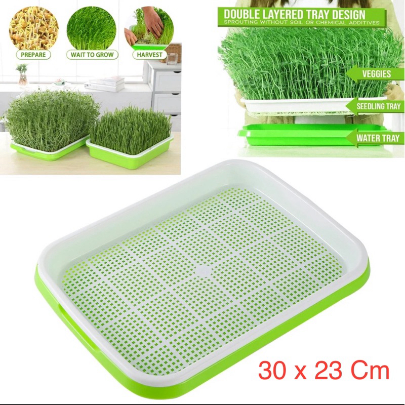 Jual Tray Semai Penyemaian Hidroponik 30 x 23cm Seeding Tray Plant ...