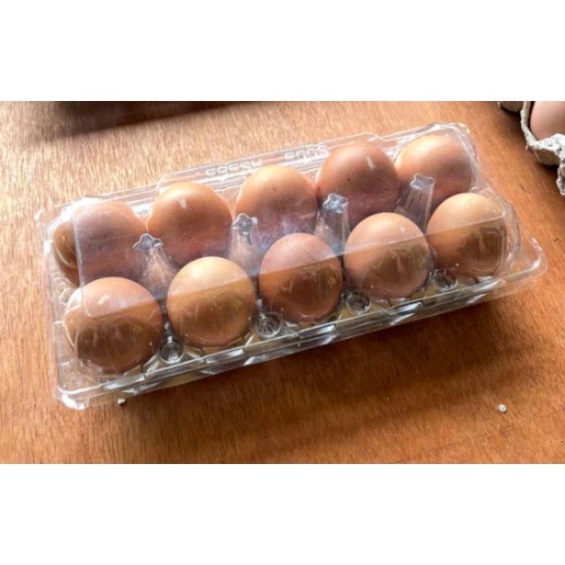 Jual Telur telor ayam horn fresh baru langsung kirim ayam negeri 650 gr ...