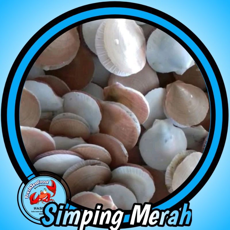 Jual kerang simping merah putih 1kg | Shopee Indonesia