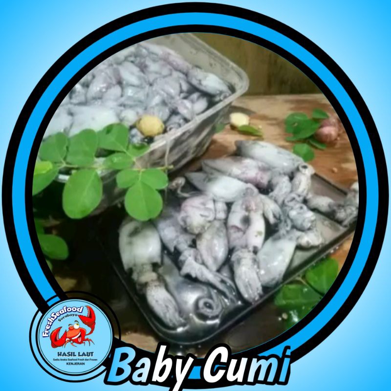 Jual BABY CUMI SEGAR 1 kg | Shopee Indonesia