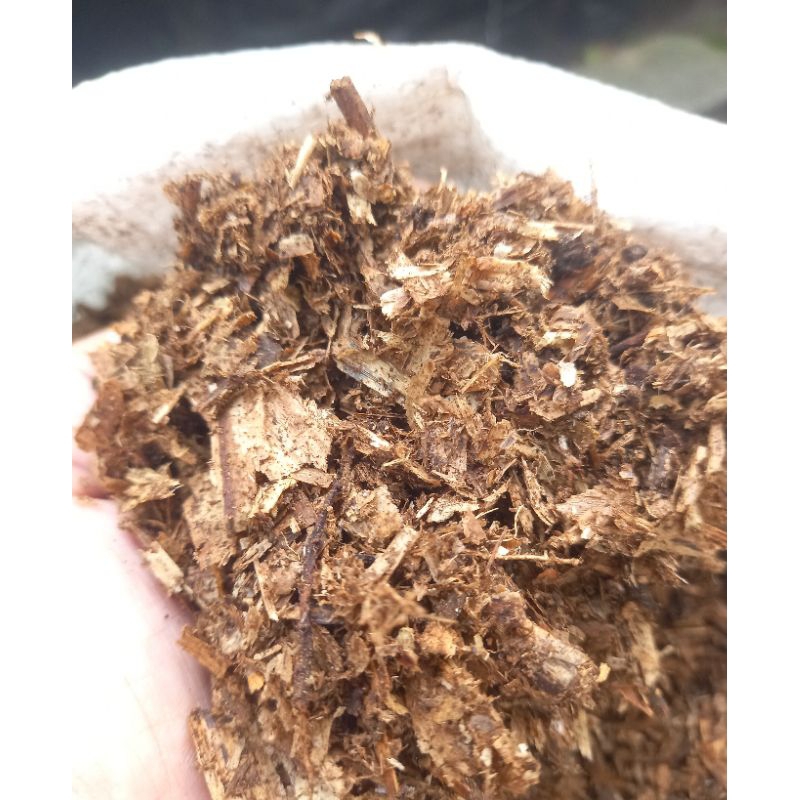 Jual Humus Daun Bambu Lapuk Karung 10kg (± 1,5-2kg) | Shopee Indonesia