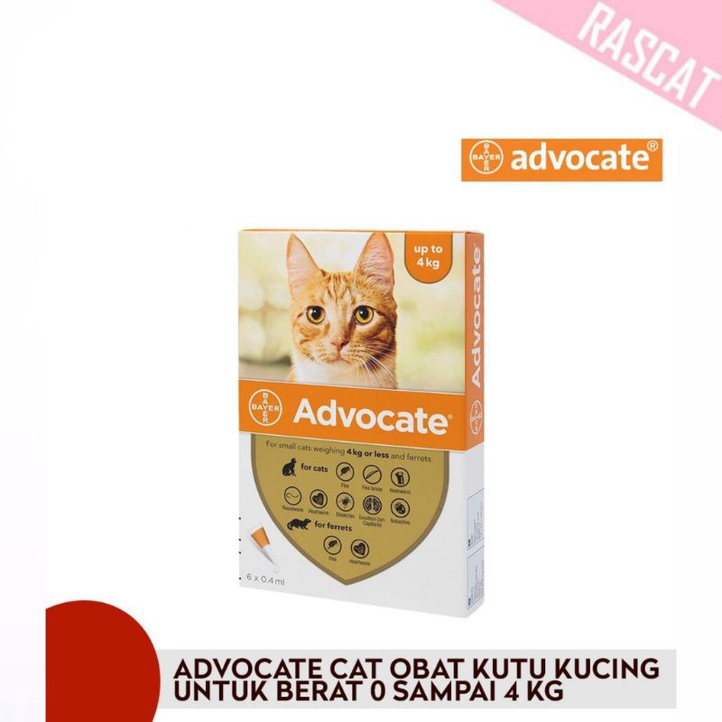 Jual BRANDS FESTIVAL Advocate Cat Small 4kg 1 Tube Obat Kutu Kucing ...