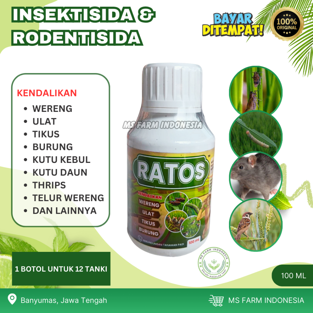 Jual RATOS Insektisida & Rodentisida Perlindungan Tanaman Padi dari ...