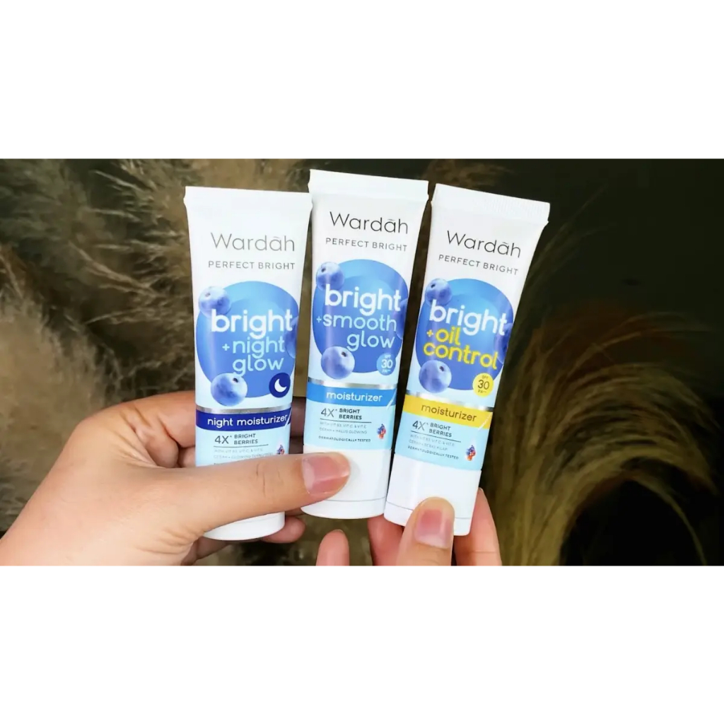 Jual Wardah Perfect Bright Moisturizer +Oil Control | +Smooth Glow SPF ...