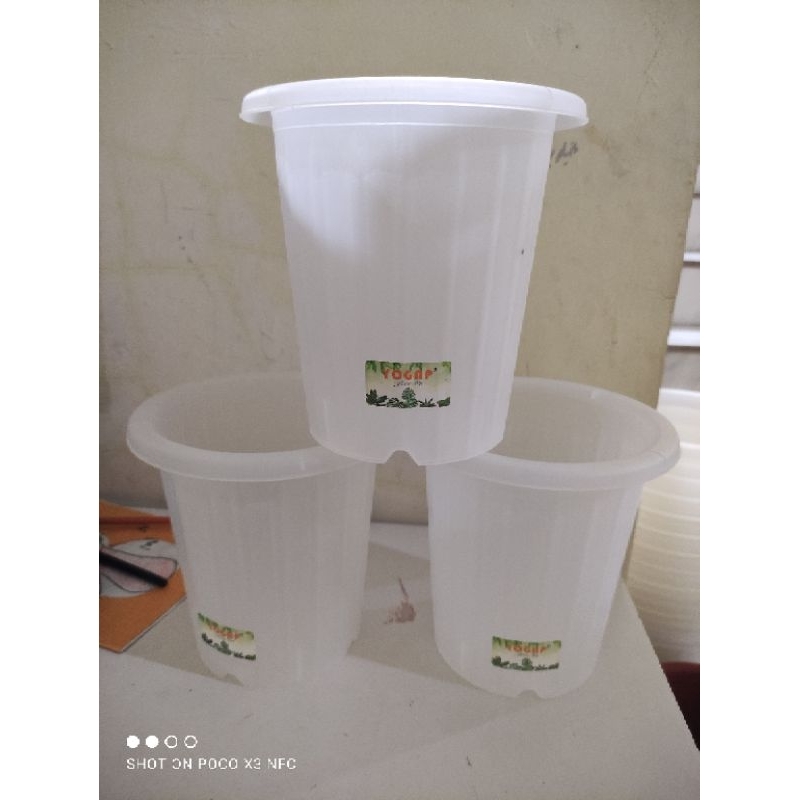 Jual pot yogap 15 transparan | Shopee Indonesia