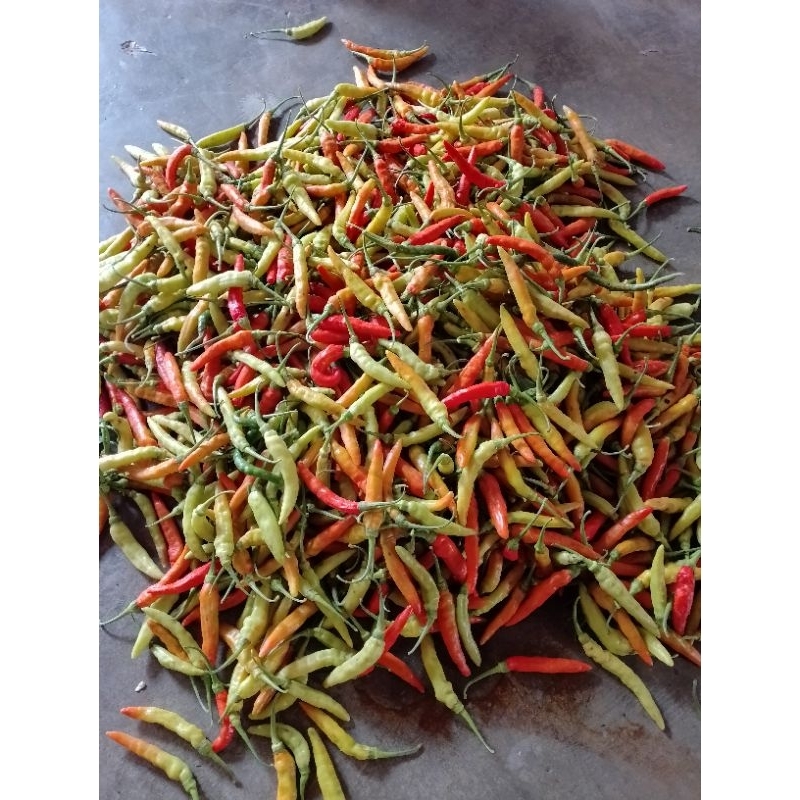Jual Cabe Rawit 1 Kg | Shopee Indonesia