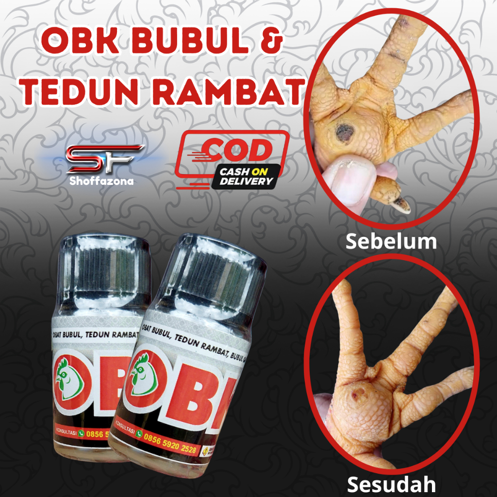 Jual OBK BUBUL DAN TEDUN RAMBAT AYAM BUBUL GANTUNG | Shopee Indonesia