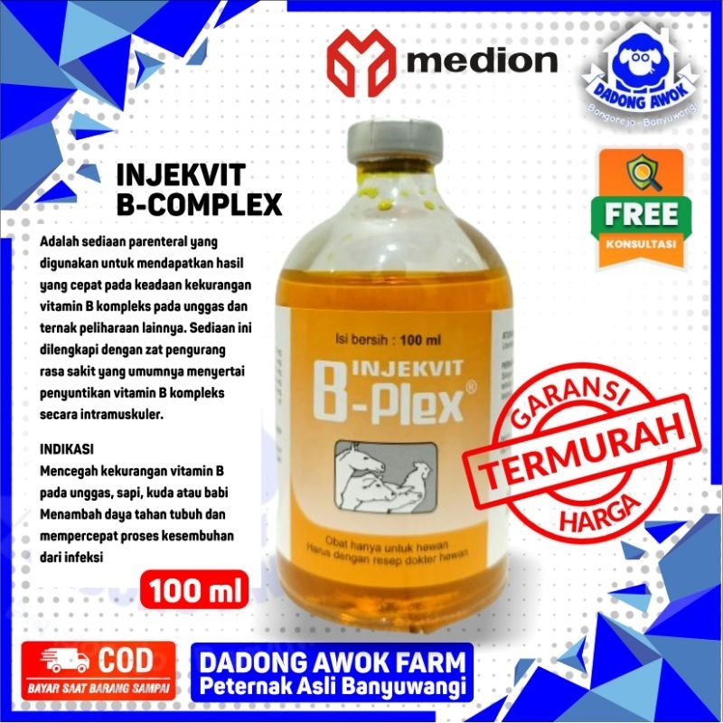 Jual B KOMPLEK - INJEKVIT B PLEX 100 ml | VITAMIN B KOMPLEKS 100 ml ...