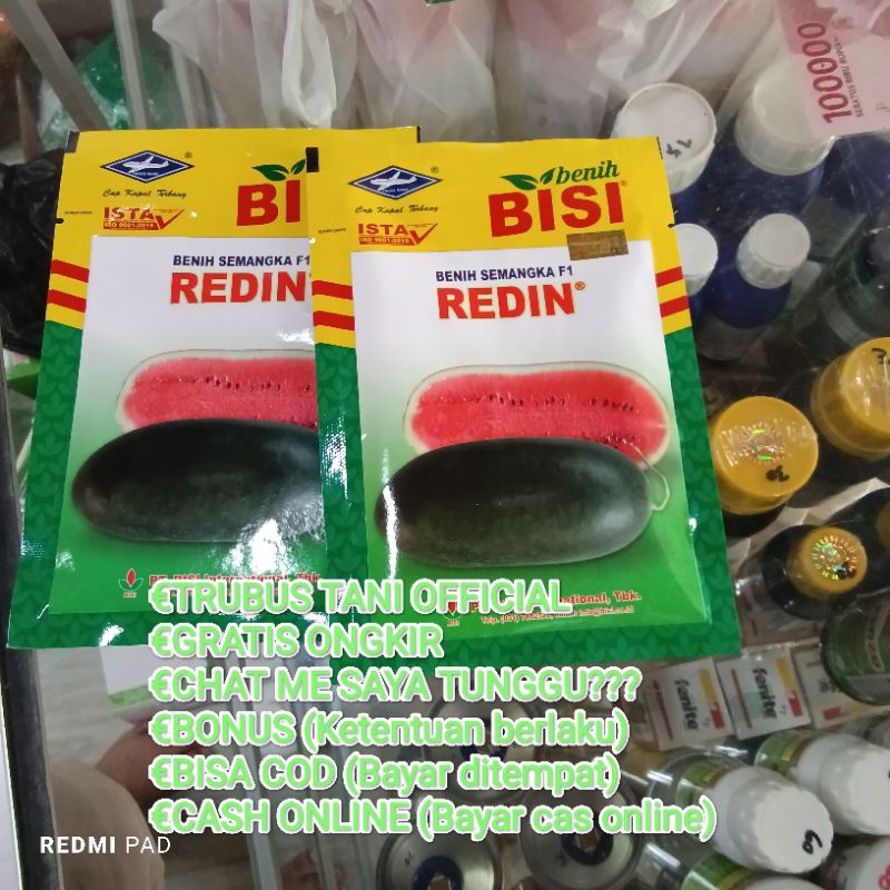 Jual Benih Bibit Semangka Redin F1 (Warna Merah Merona, Kulit tebal ...