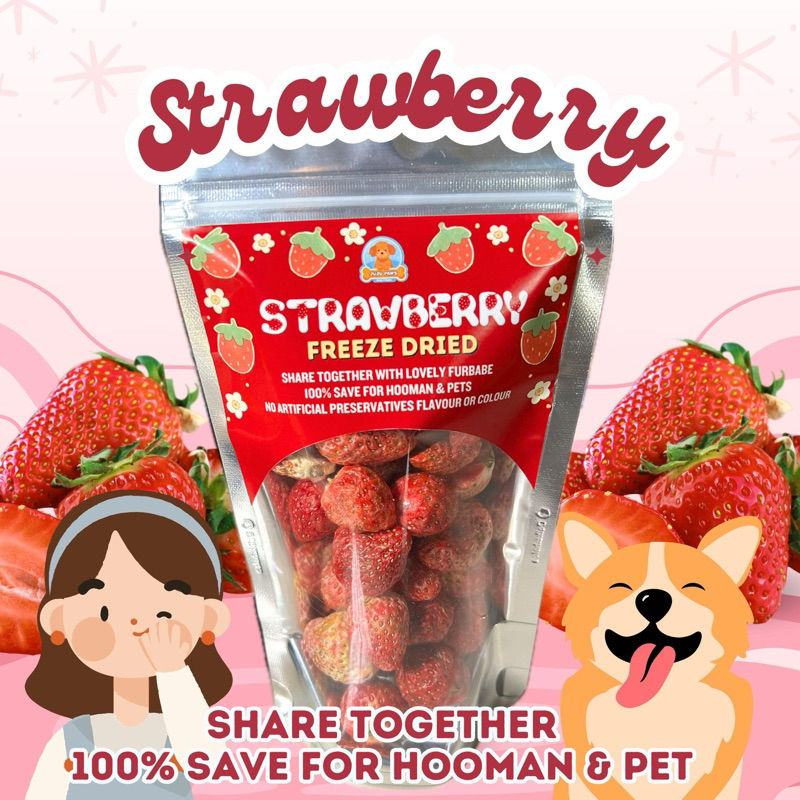Jual strawberry freeze dried / snack buah strawberry | Shopee Indonesia