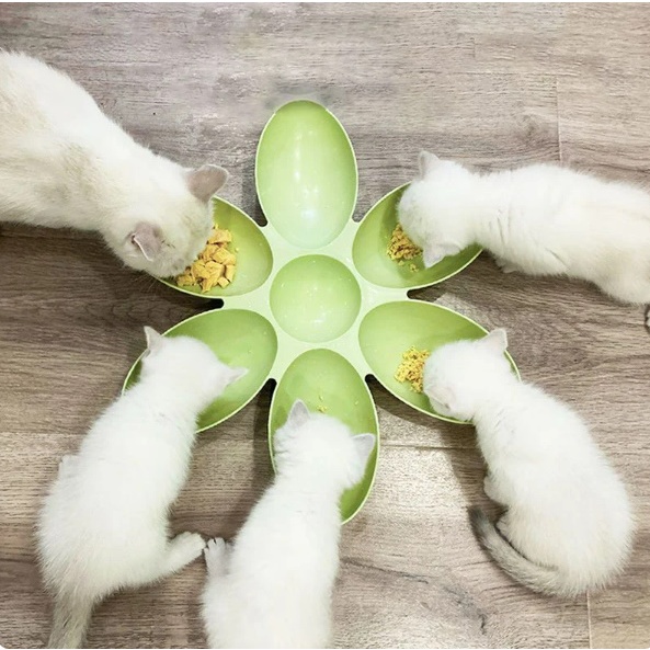 Jual tempat makan kucing 6 lubang tempat minum kucing 6 tempat piring ...