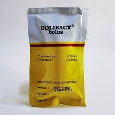 Jual Colibact Bolus Sanbe per 1 bulus Obat Diare Mencret Antibakteri ...