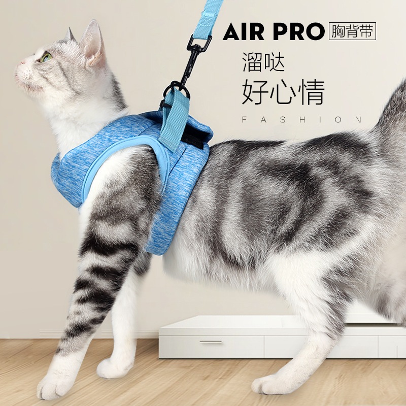 Jual Tali Harness Kucing Tali Tuntun Rompi Kucing Harness Jaket Kucing ...