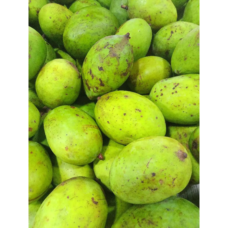 Jual KWENI | Mangga Kweni | Kaweni | keweni | buah kaweni | kuweni ...