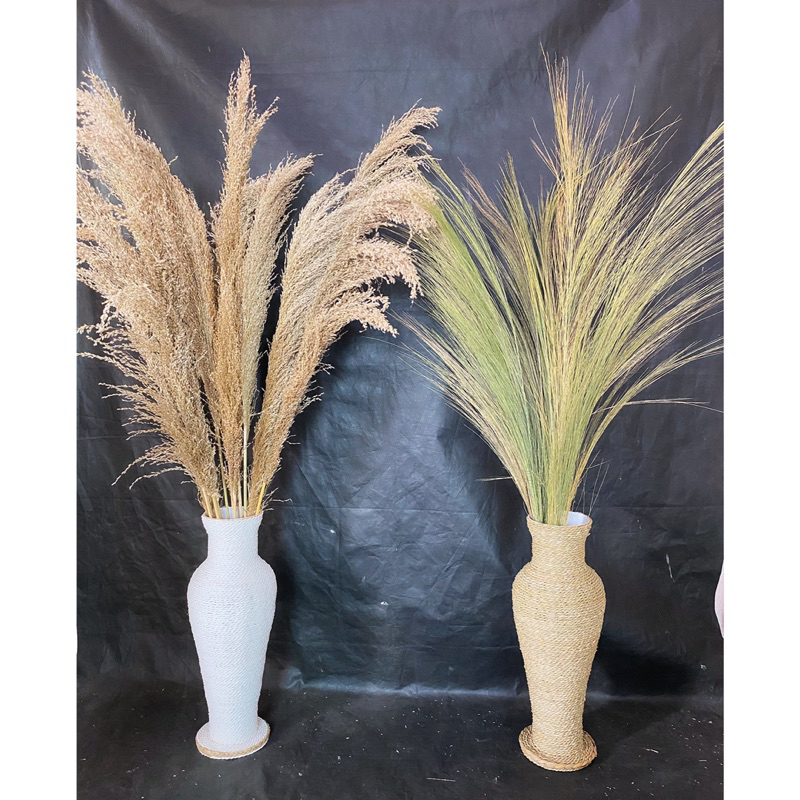 Jual paket bunga pampas bulu dan rayung+vas 50 cm | Shopee Indonesia