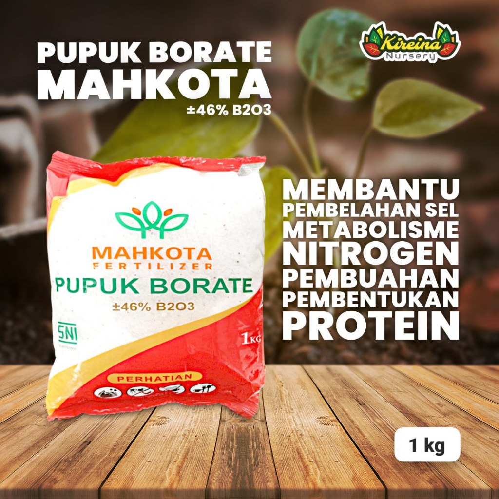 Jual Pupuk Borate Mahkota 1 Kg 46% B2O3 - Meningkatkan Bobot Buah ...