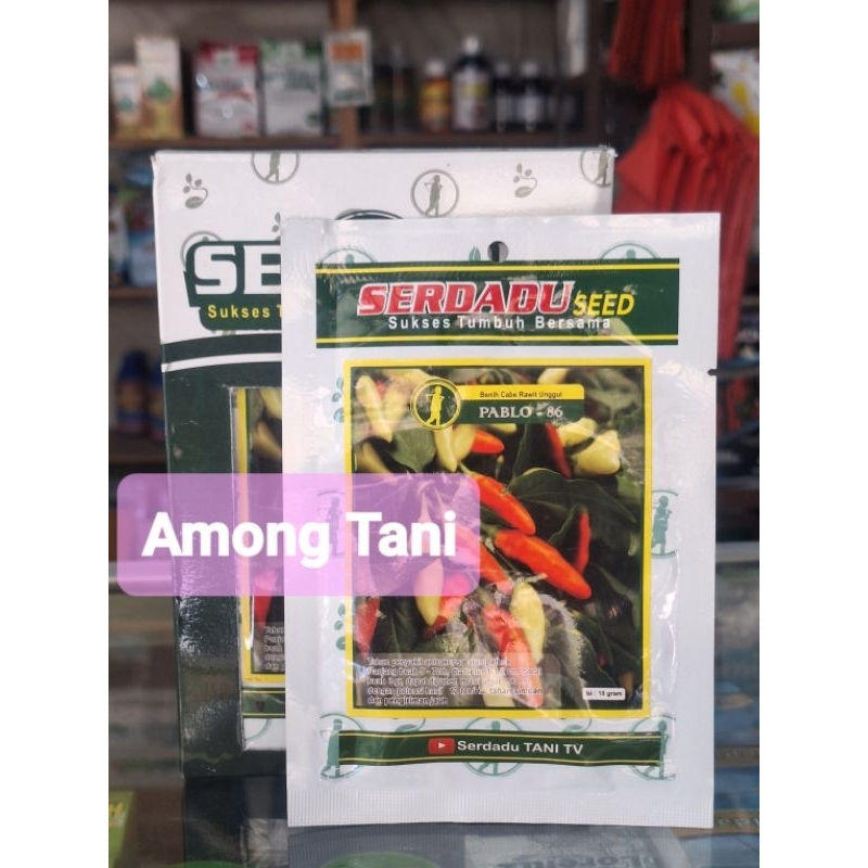 Jual benih cabai rawit Pablo - 86 Serdadu Seed | Shopee Indonesia