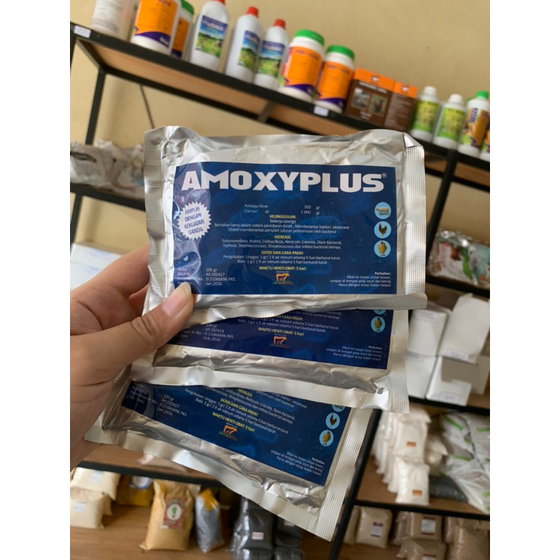 Jual Amoxy plus 100gr antibiotik untuk ternak ayam, bebek, babi ...