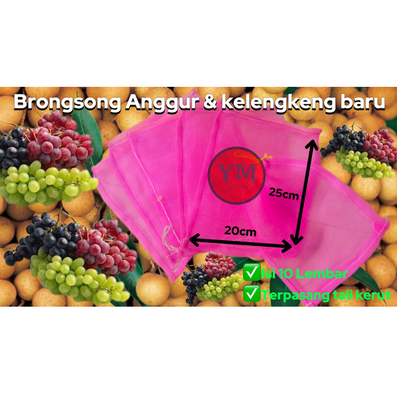Jual Brongsong BARU ISI 10 LEMBAR mangga jambu kristal kelengkeng (JMBB ...