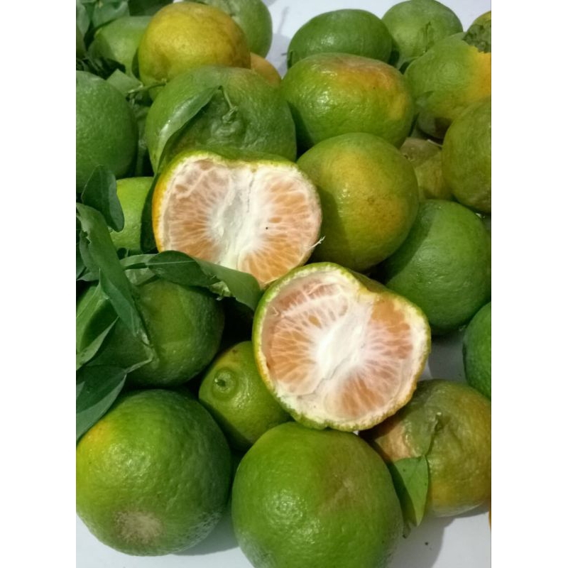 Jual JERUK KEPROK BATU 55 MANIS SEGAR 1KG (Baca hingga slide terakhir ...