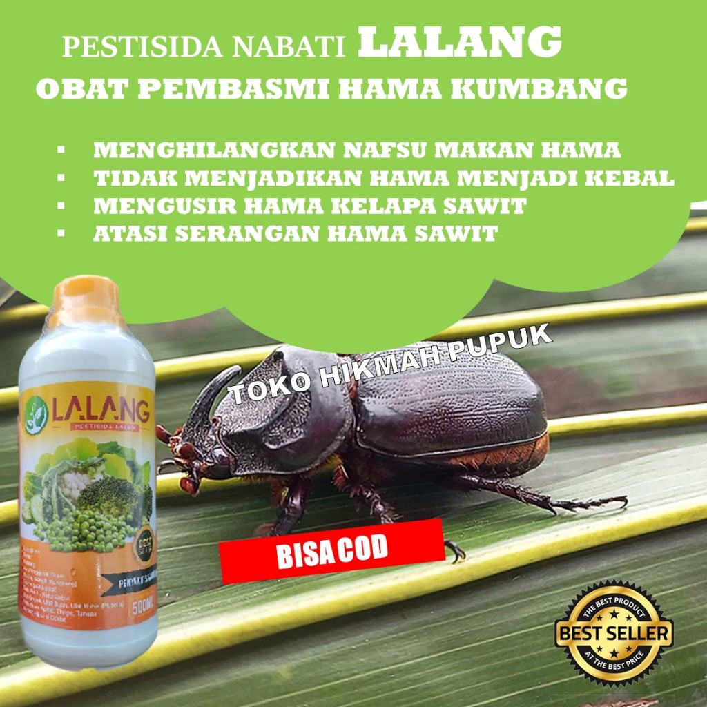Jual Pupuk Hama Kumbang Tanduk Pada Tanaman kelapa sawit Paling Bagus ...