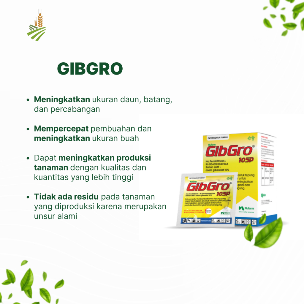 Jual Zat Pengatur Tumbuh Gibgro | Kemasan 1 gram Untuk Jagung dan Padi ...
