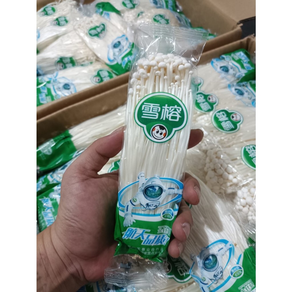 Jual ENOKI CHINA | Shopee Indonesia