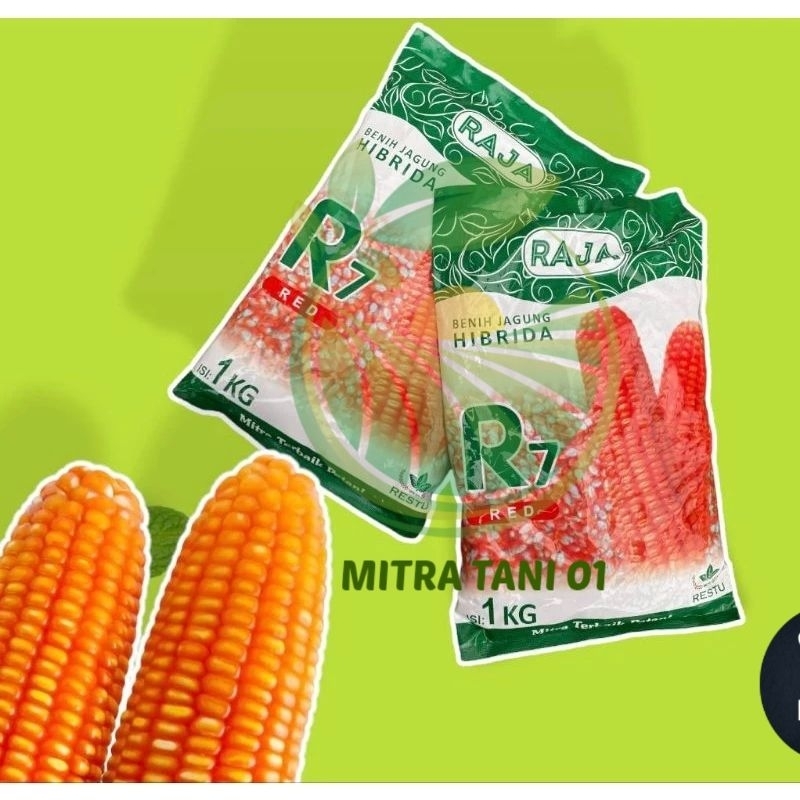 Jual Benih jagung R7 Raja red | Shopee Indonesia