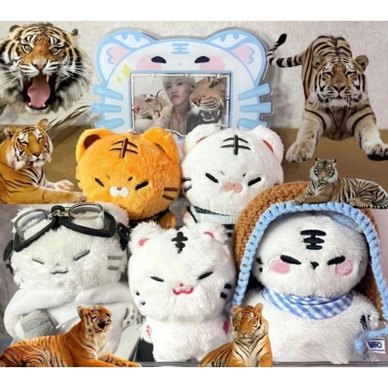 Jual Ready Stock Seventeen hoshi doll, hoshi tamtam | Shopee Indonesia