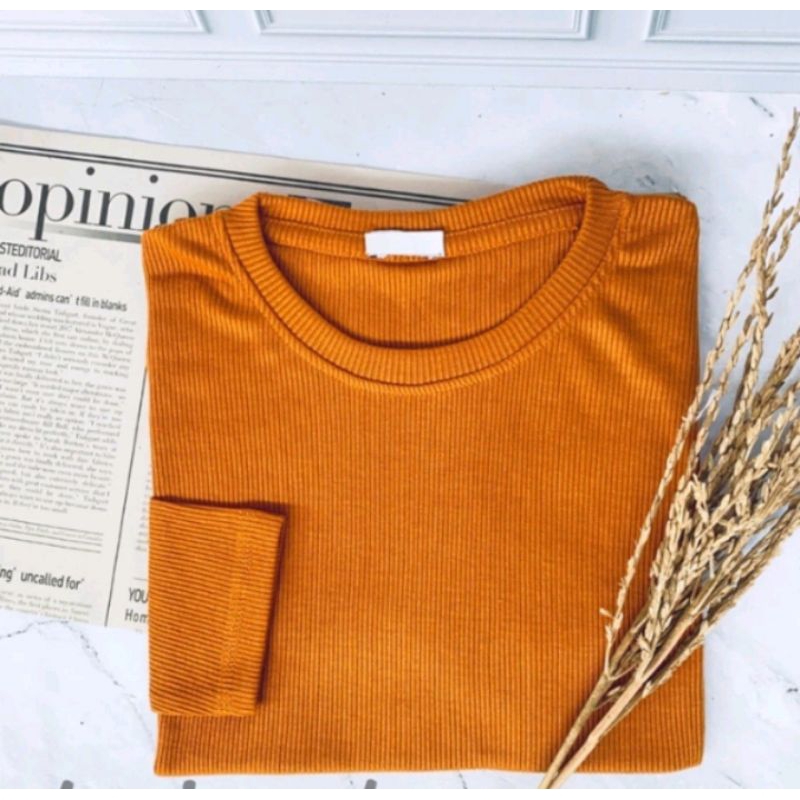 Jual Baju Rib Premium Wanita Kaos Lengan Panjang Basic Polos Allsize ...