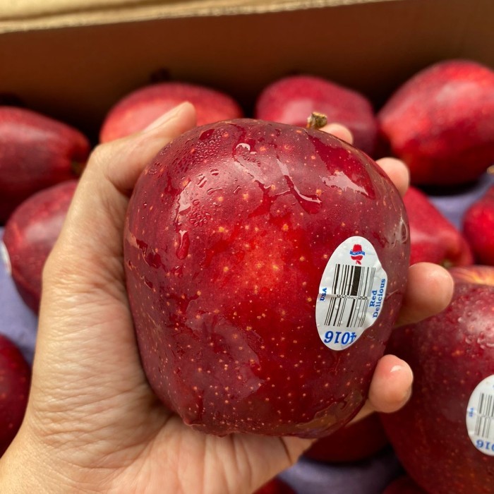 Jual Apel Merah 500gram Fresh | Shopee Indonesia