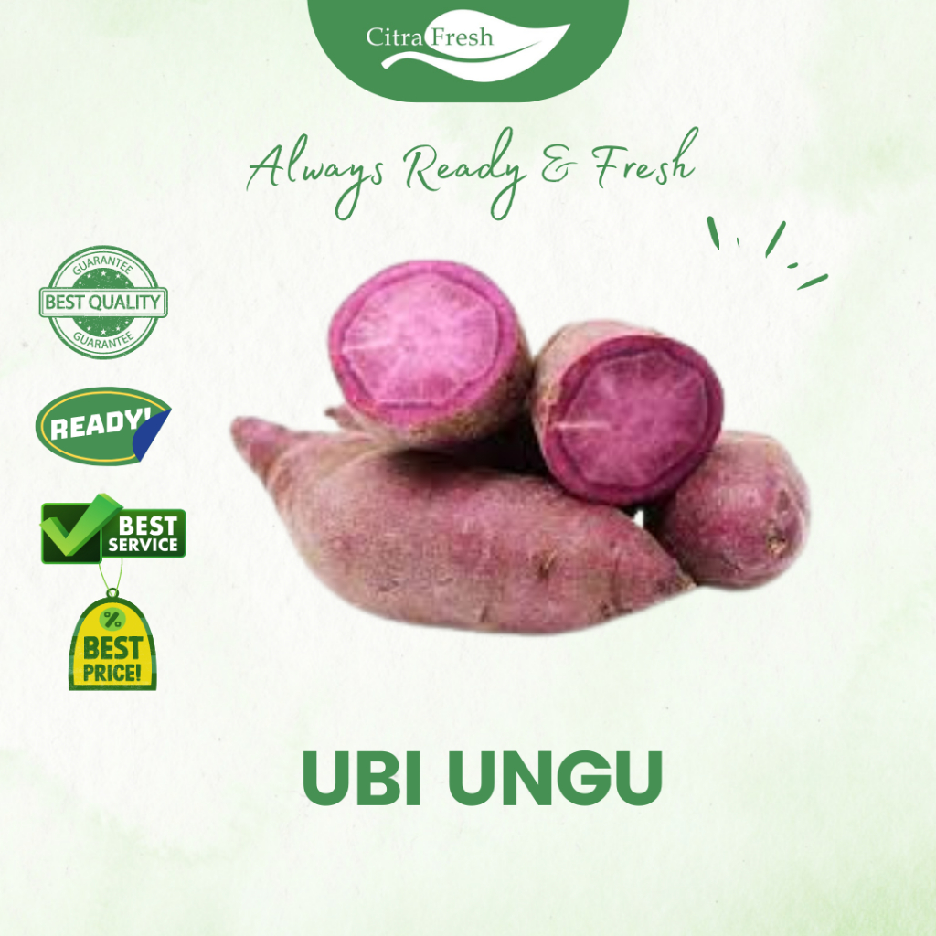 Jual CITRA FRESH - Ubi Ungu 1 Kg - Selalu Ready dan Fresh | Shopee ...