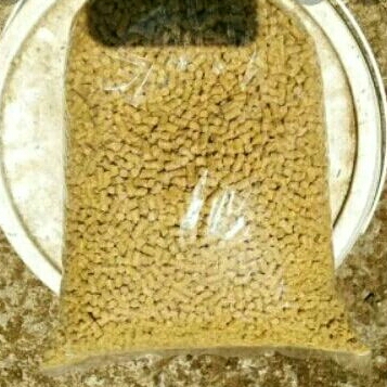 Jual pur babi pakan untuk anak ayam (1kg) | Shopee Indonesia