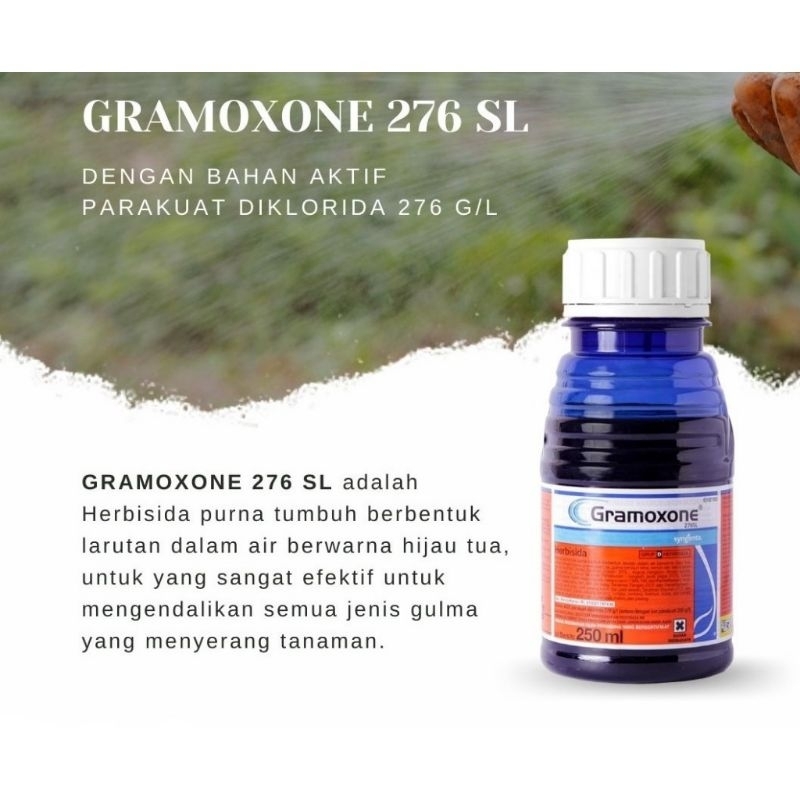 Jual Gramoxone 276SL Herbisida 250 ml | Shopee Indonesia
