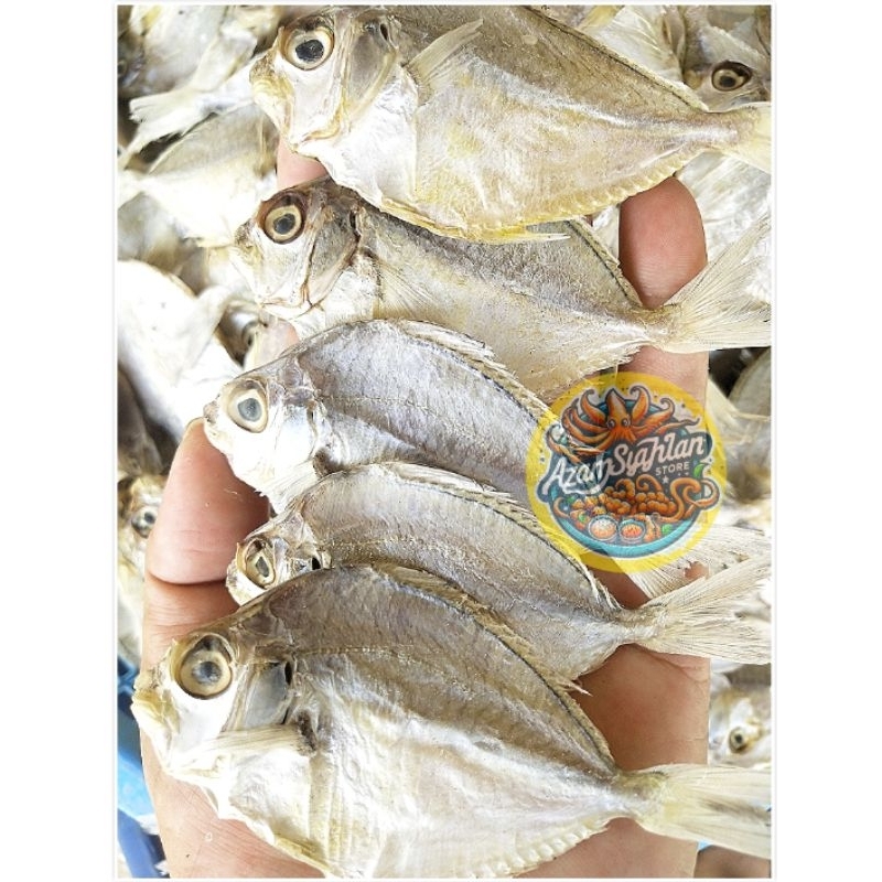 Jual IKAN ASIN DODOK/PETEK ASIN KERING 500GRAM | Shopee Indonesia