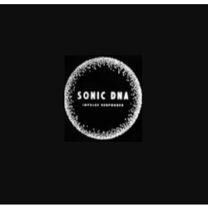 Jual SDNA RivSeven IR/Rig Pack Headrush | Shopee Indonesia