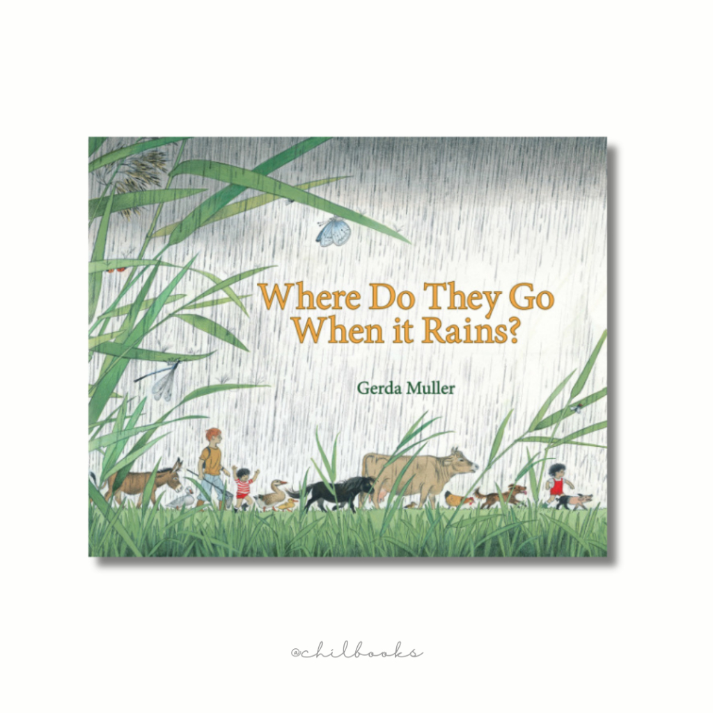 Jual Where Do They Go When it Rains? | Shopee Indonesia