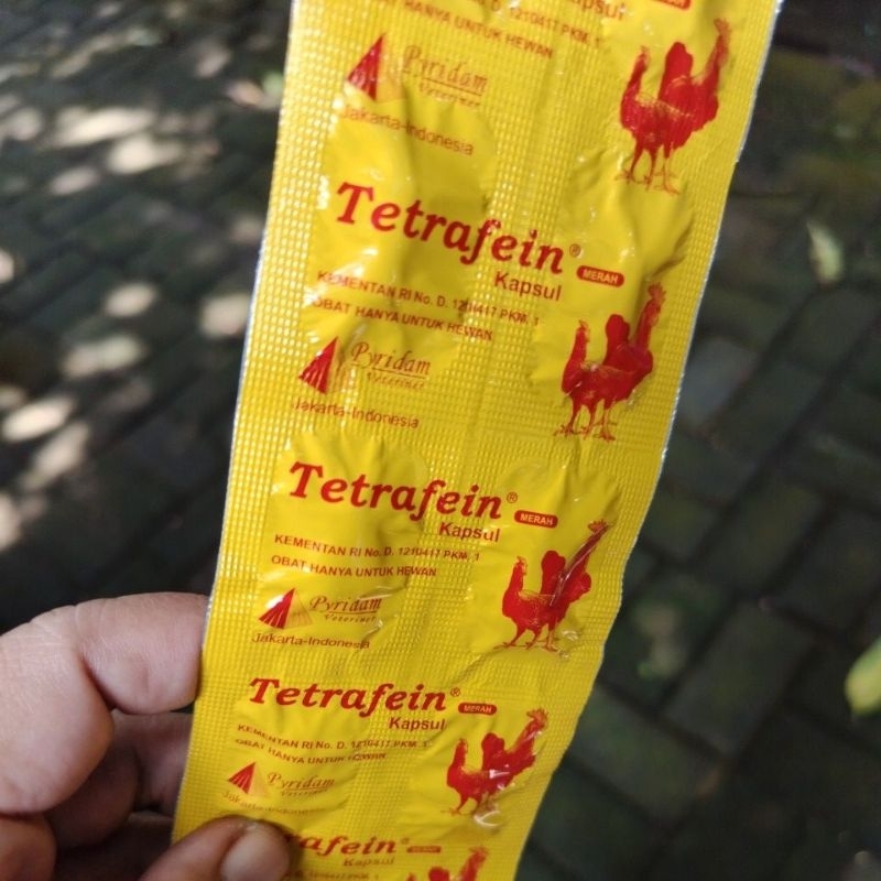 Jual TETRAFEIN 1 Strip Obat Ayam Sakit Ngorok Snot Cengkrek Pilek ...