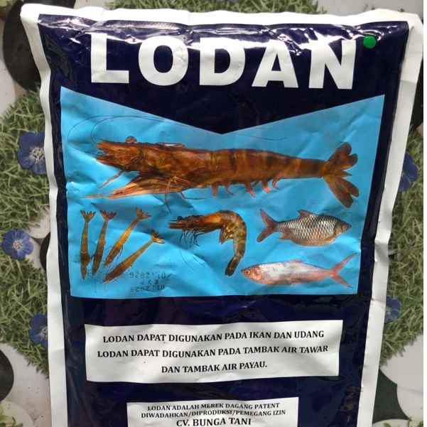 Jual Lodan 500 gram - Pemacu Bobot Ikan dan Udang | Shopee Indonesia