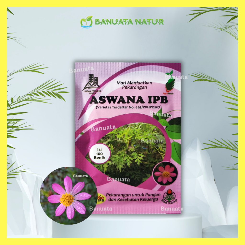 Jual Benih Daun Kenikir Aswana IPB Berkualitas - Banuata | Shopee Indonesia